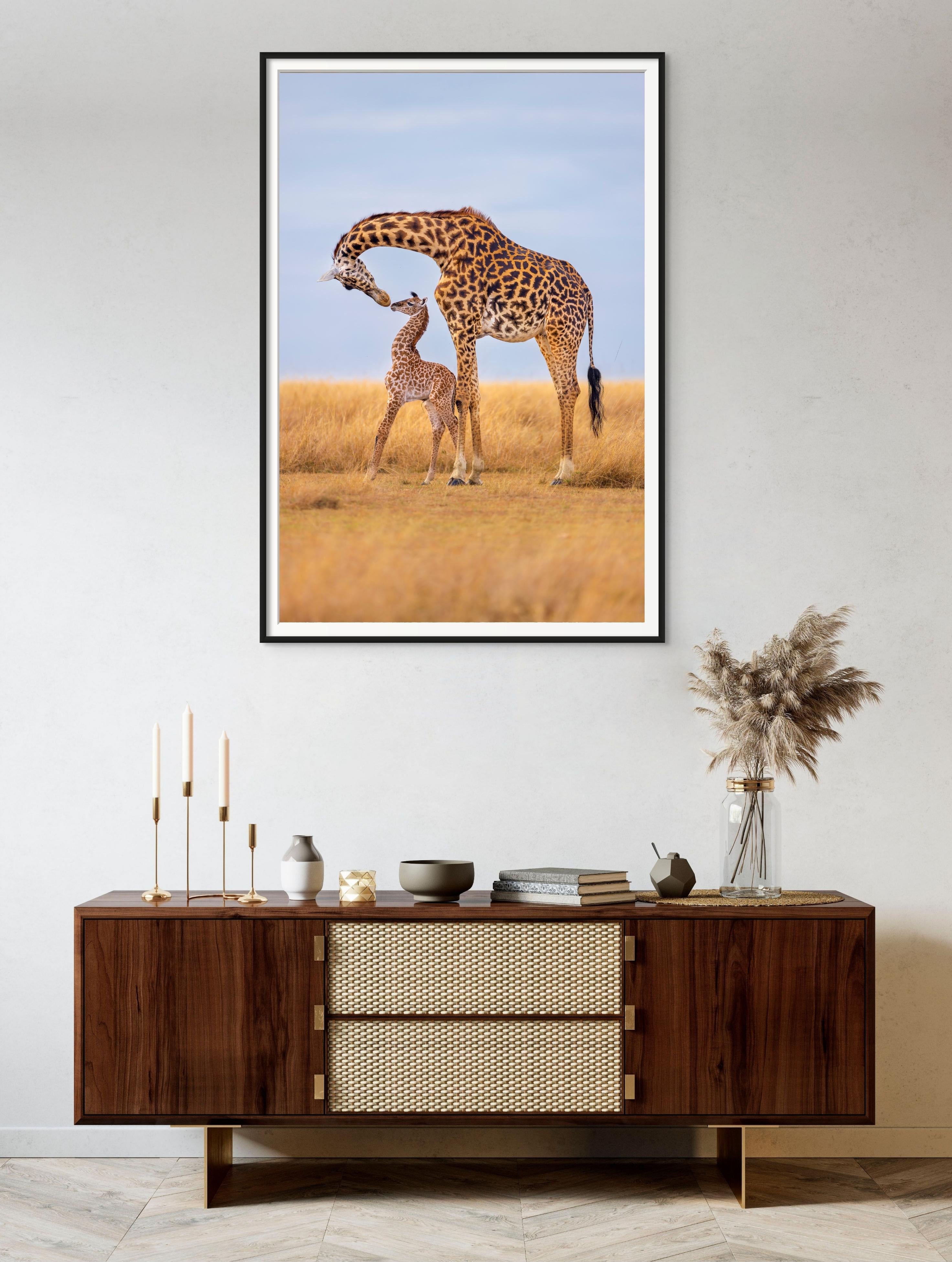 Nicholson Fine Art Nature Photography – Nicholson Fine Art Photography